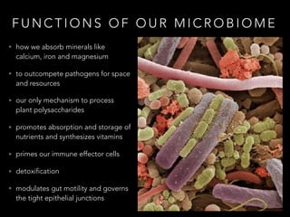 Skin gut connection | PDF