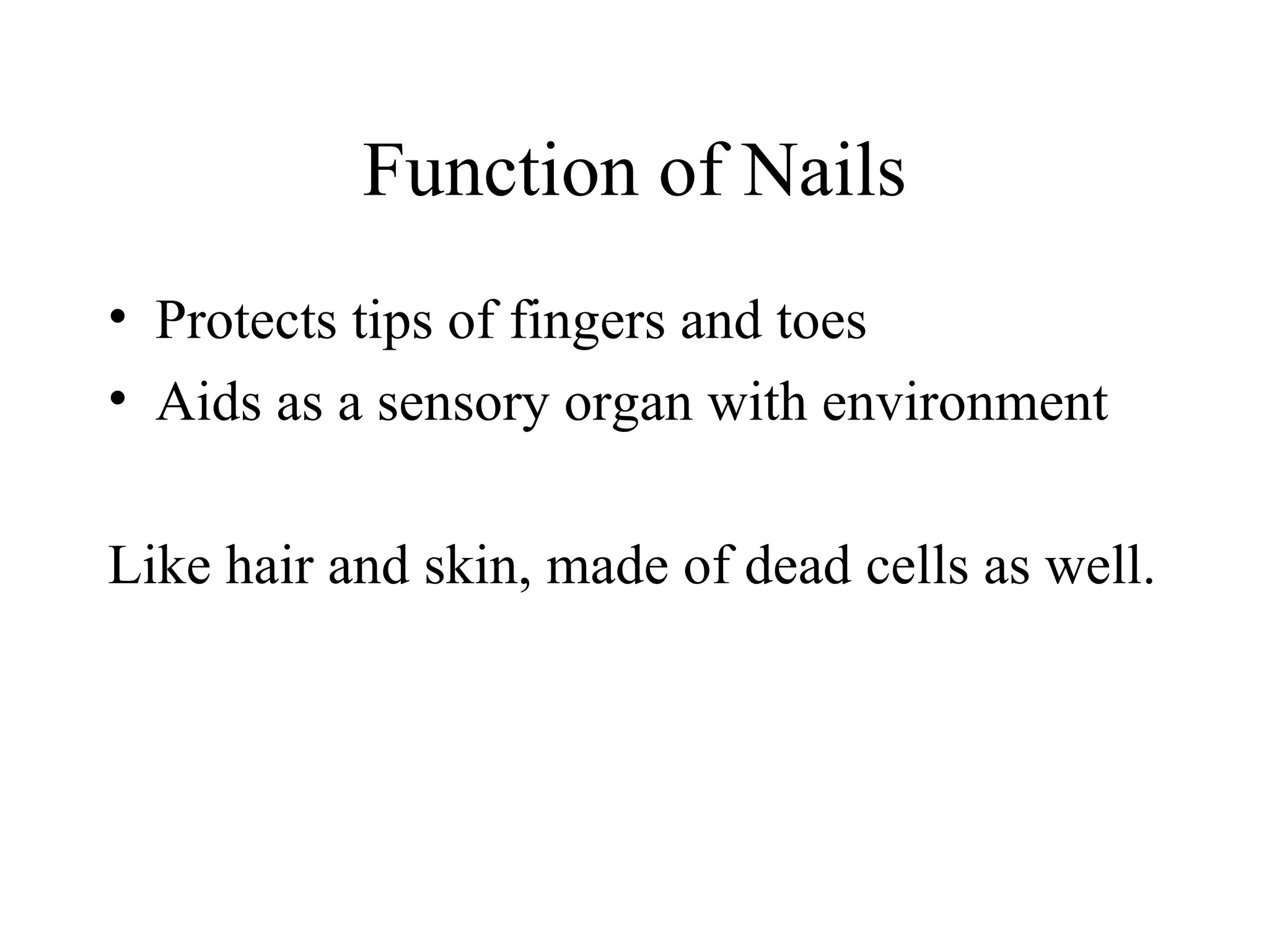 Skin, Hair, Nails | PPT