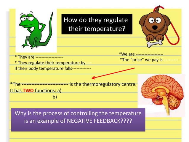 Skin homeostasis | PPTX