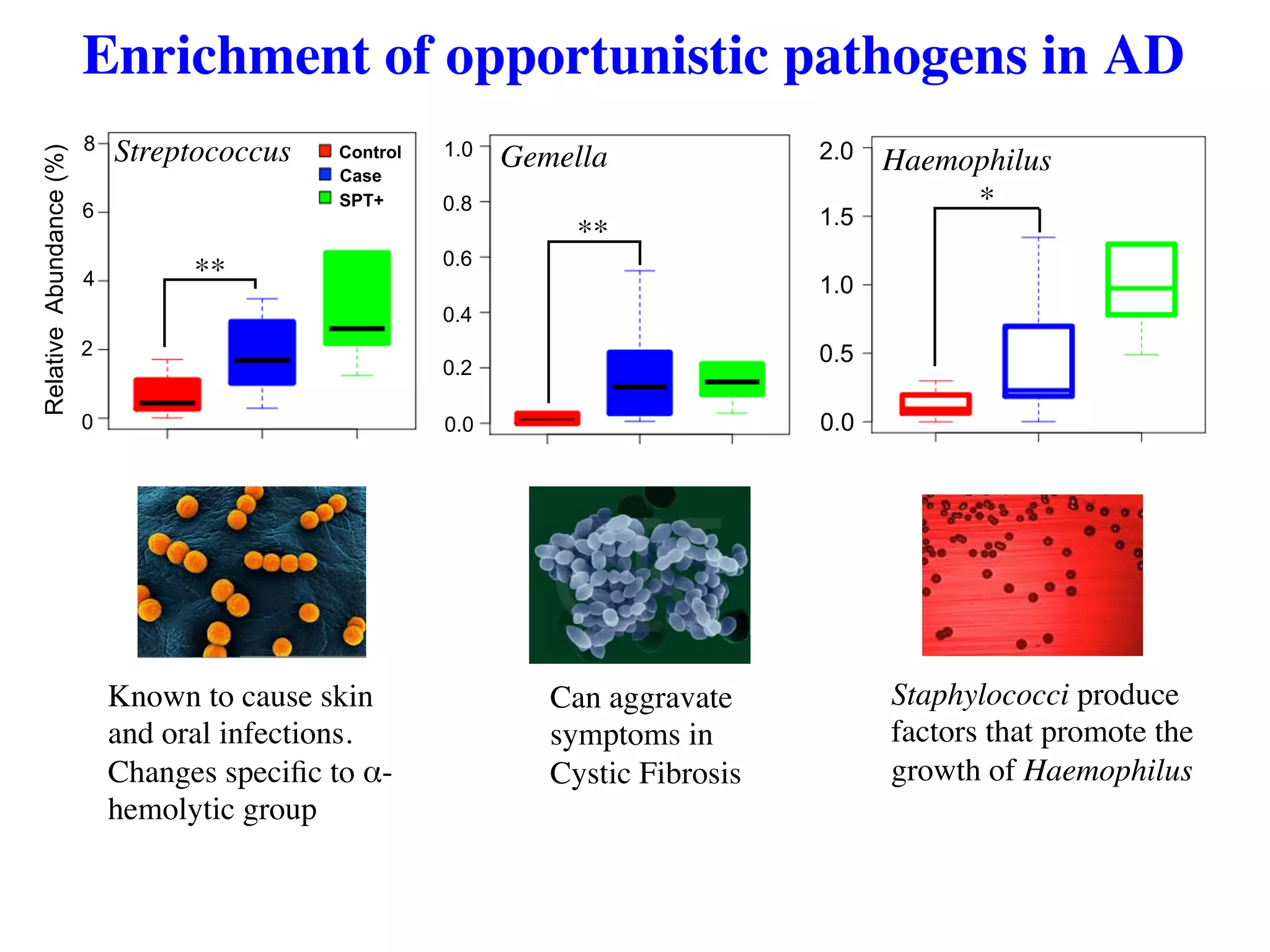 The Role of the Skin Microbiome in Atopic Dermatitis (Eczema) | PDF