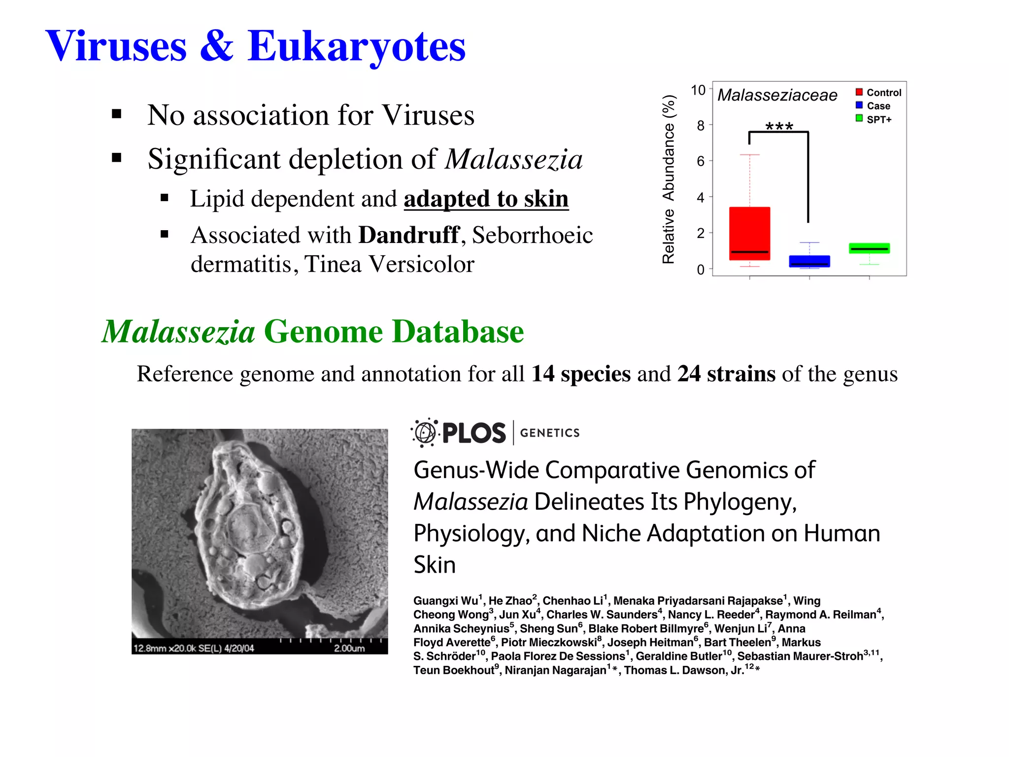 The Role of the Skin Microbiome in Atopic Dermatitis (Eczema) | PDF