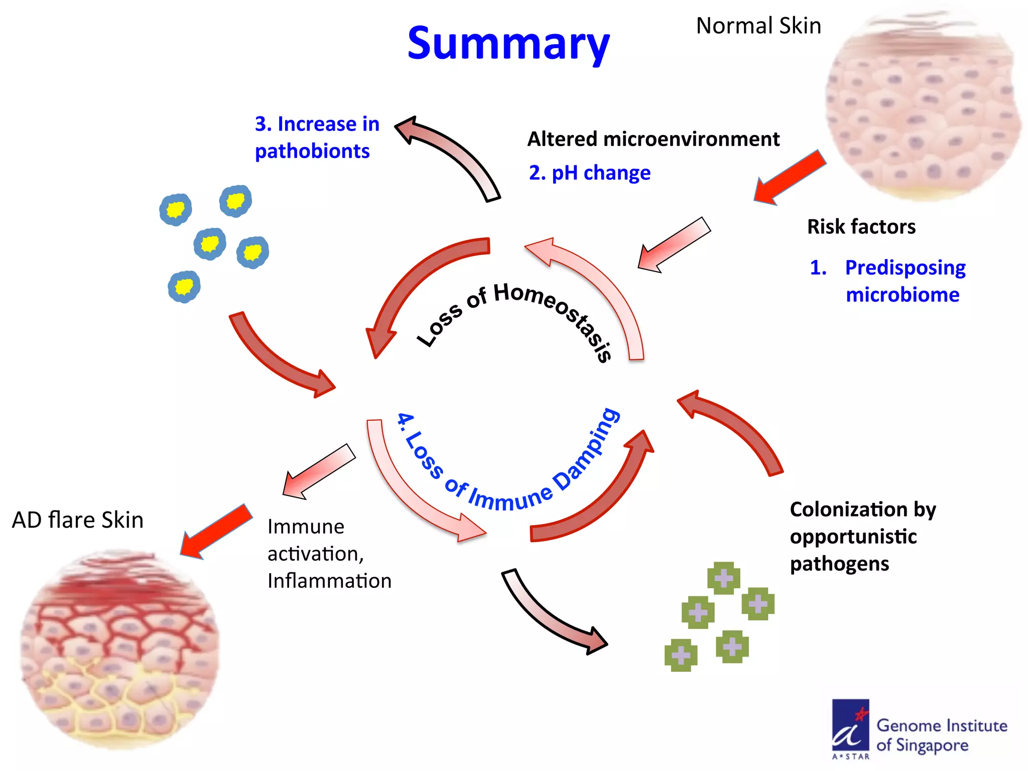 The Role of the Skin Microbiome in Atopic Dermatitis (Eczema) | PDF