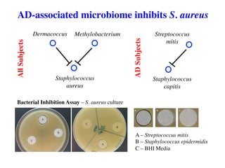 The Role of the Skin Microbiome in Atopic Dermatitis (Eczema) | PDF