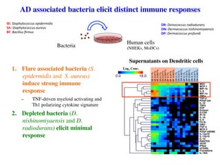 The Role of the Skin Microbiome in Atopic Dermatitis (Eczema) | PDF