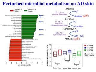 The Role of the Skin Microbiome in Atopic Dermatitis (Eczema) | PDF