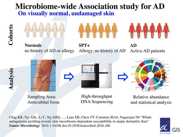 The Role of the Skin Microbiome in Atopic Dermatitis (Eczema) | PPT