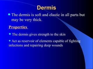 Skin & Skin Infections | PPT