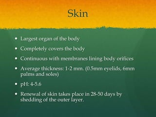 Skin | PPTX