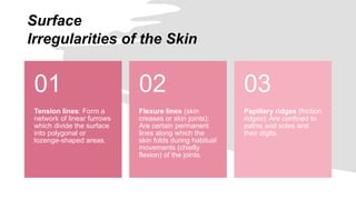 Skin & Deep fascia | PPTX