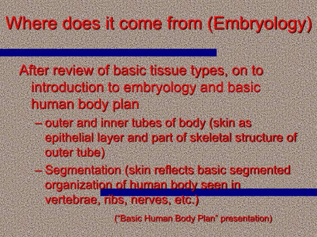 Skin | PPT | Free Download