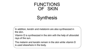 Skin and fascia PDF for college seminars | PPTX