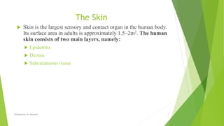 SKIN .ppt