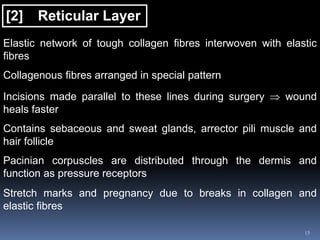 Unit VII: Integumentary System (Skin, Nail & Hair) | PPT