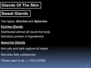 Unit VII: Integumentary System (Skin, Nail & Hair) | PPT