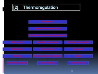 Unit VII: Integumentary System (Skin, Nail & Hair) | PPT