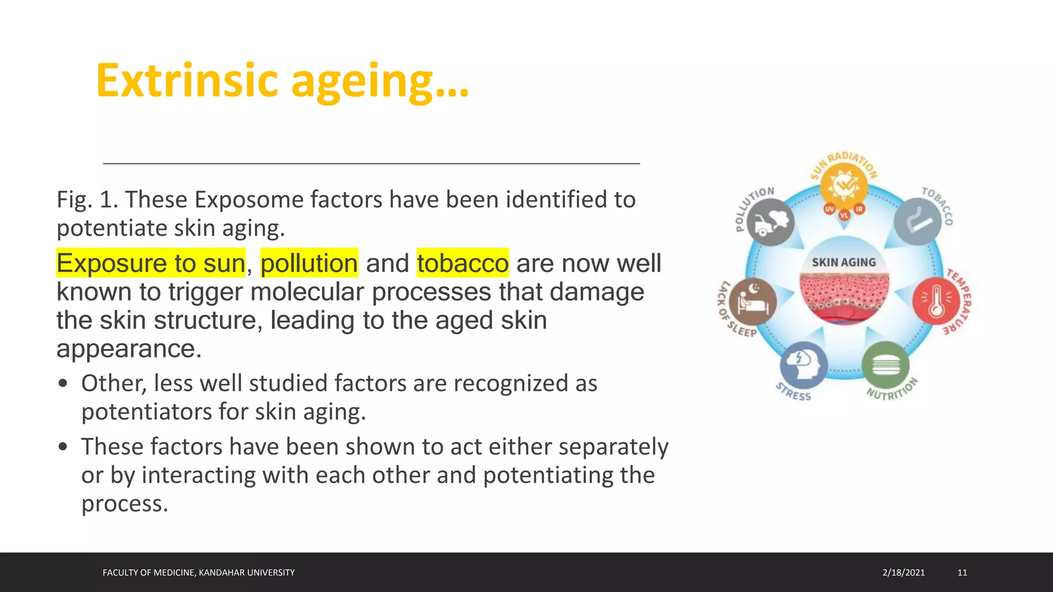 Skin ageing | PPTX