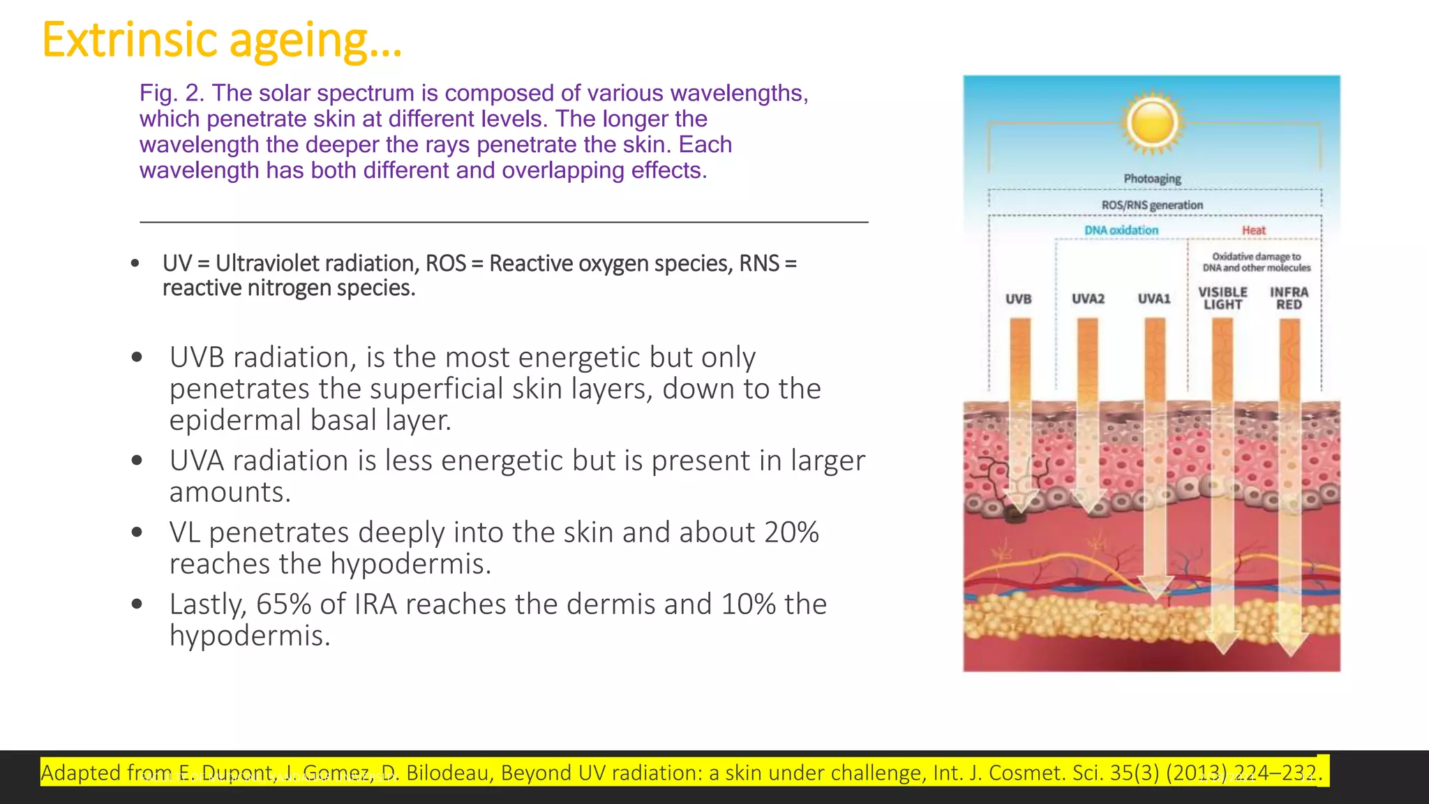 Skin ageing | PPTX