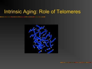 Skin Ageing Medical.pptx