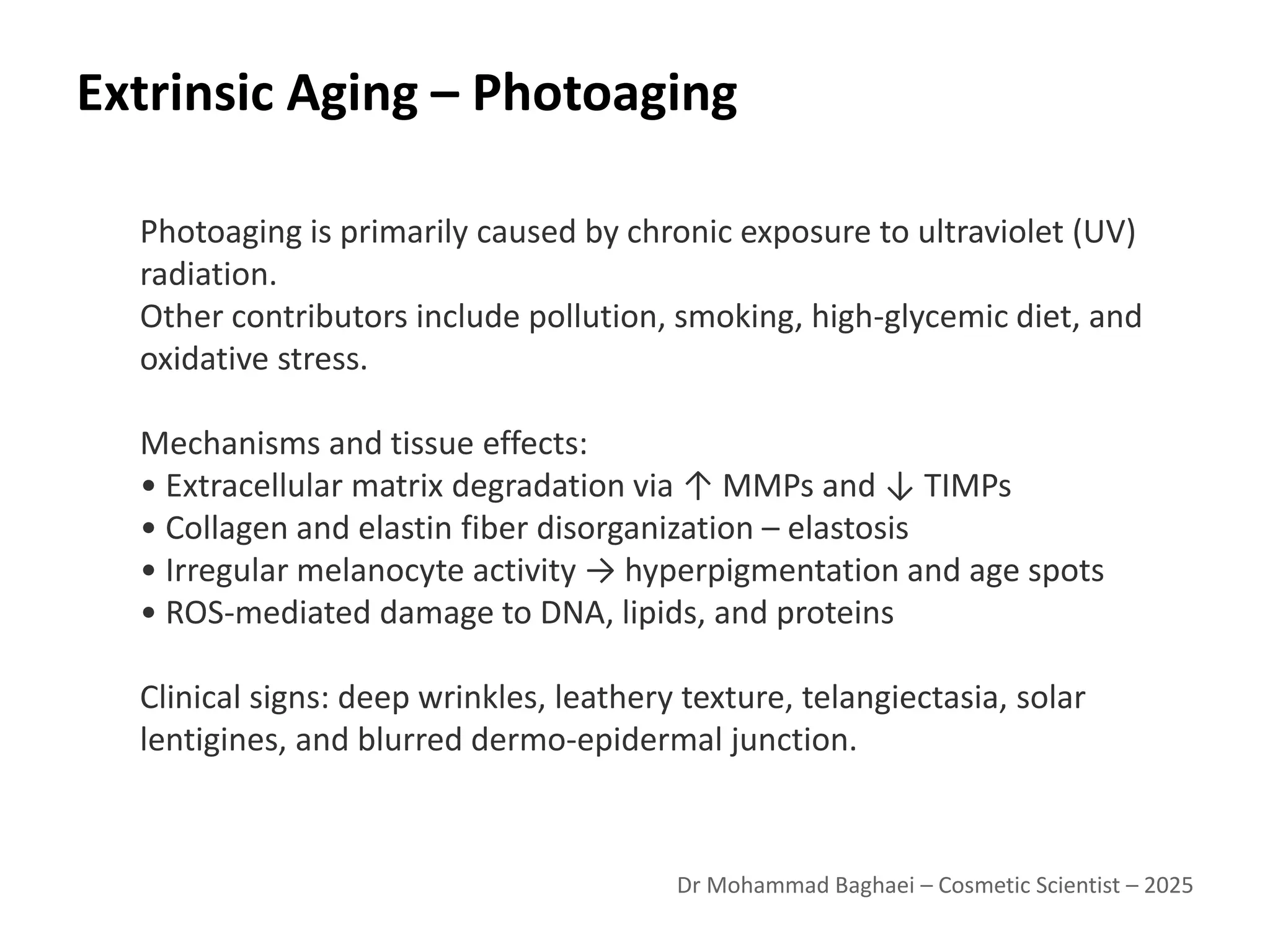 Skin Aging, Wrinkle Types, Rejuvenation, Retinoids, Retinoid Analogs ...