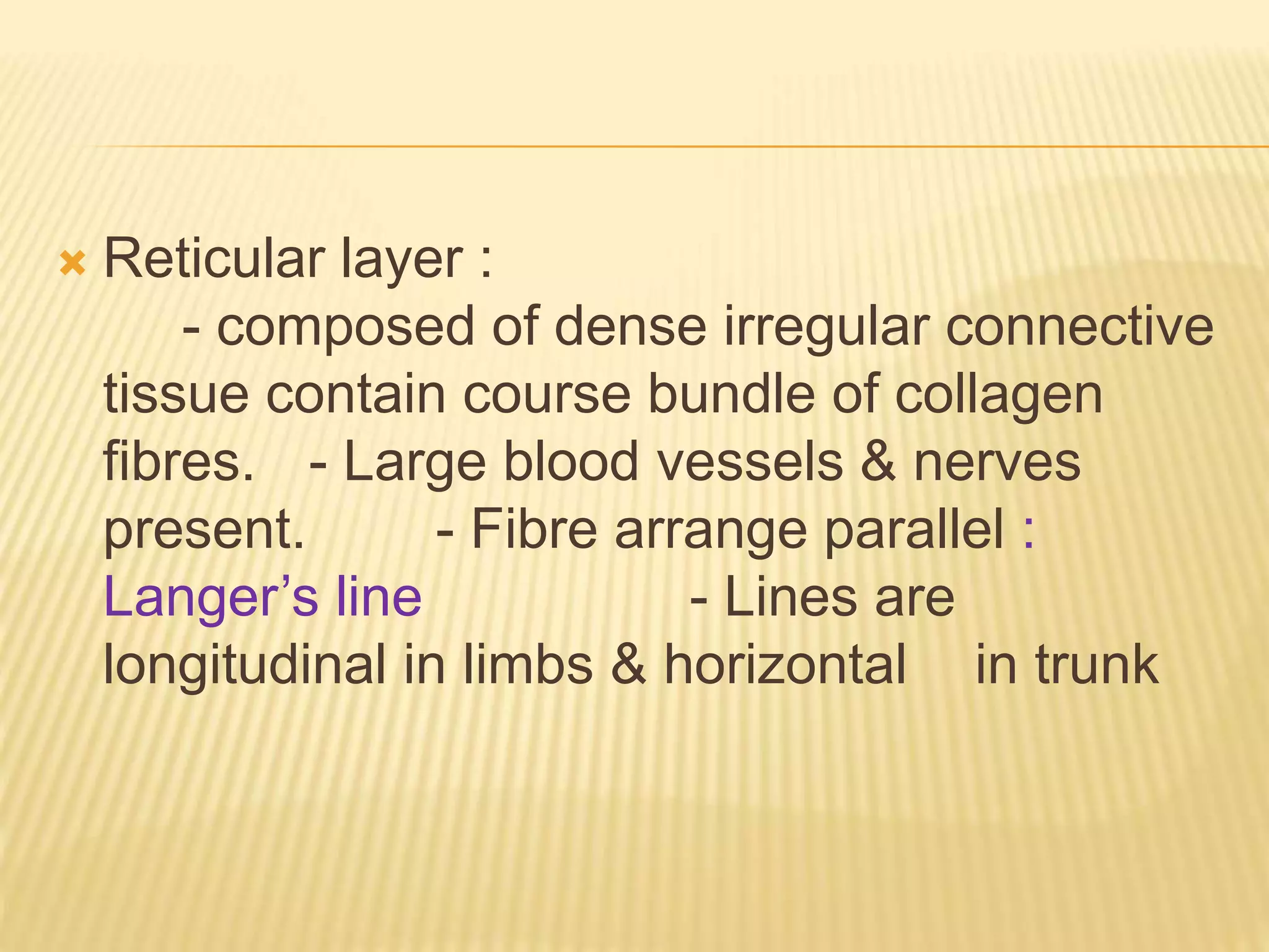 Skin anatomy and physiology | PPTX