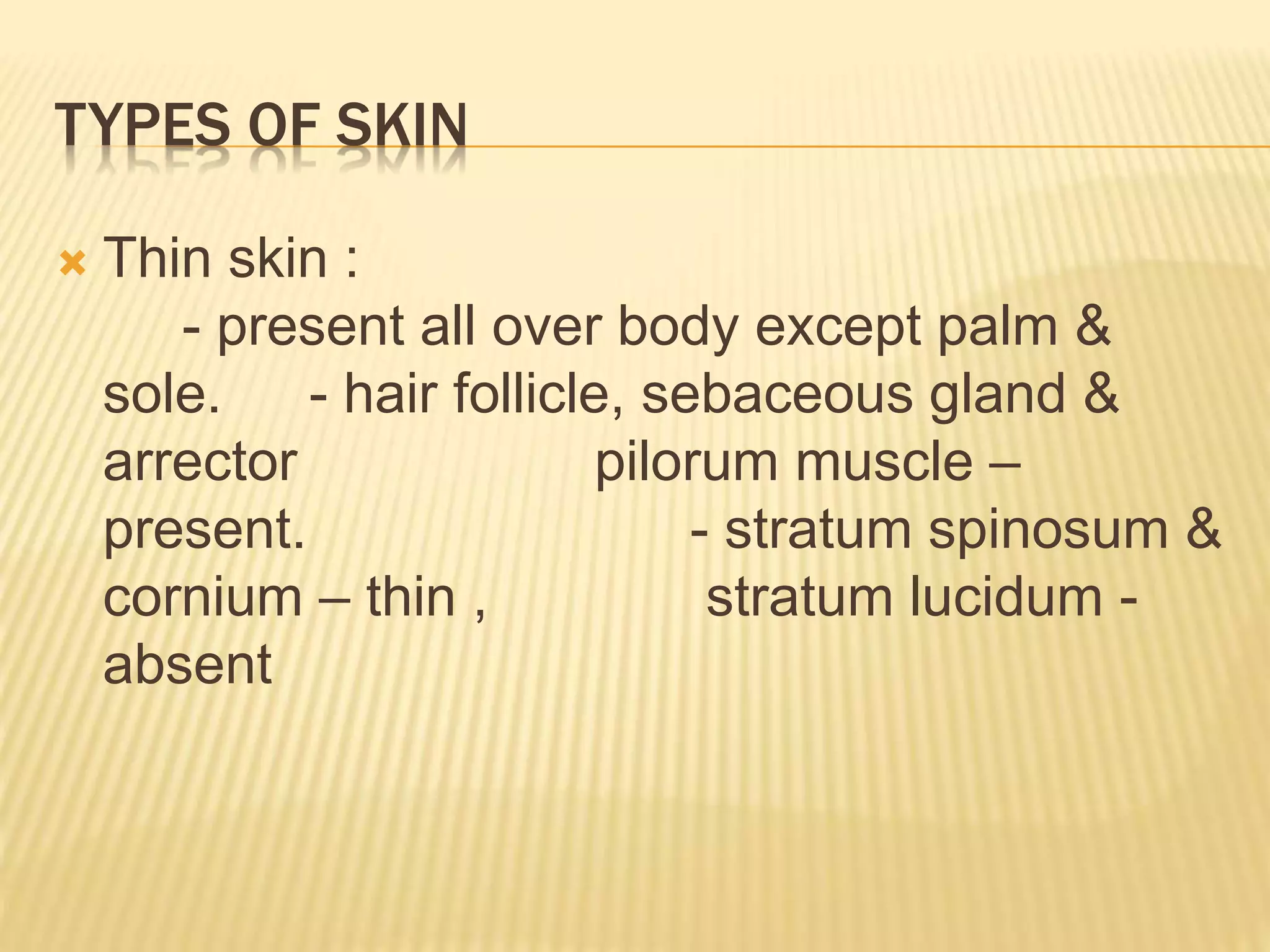 Skin anatomy and physiology | PPTX
