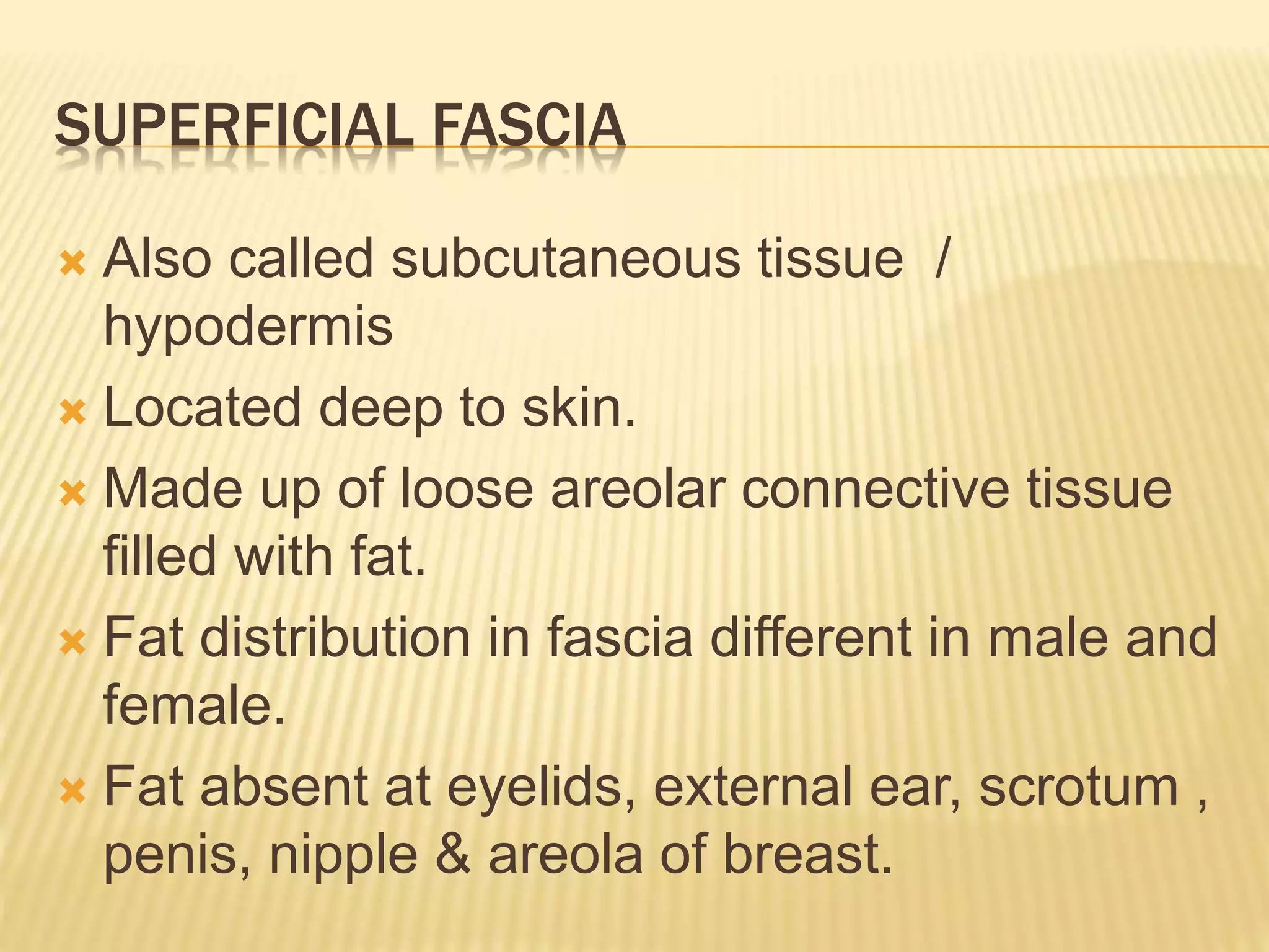 Skin anatomy and physiology | PPTX