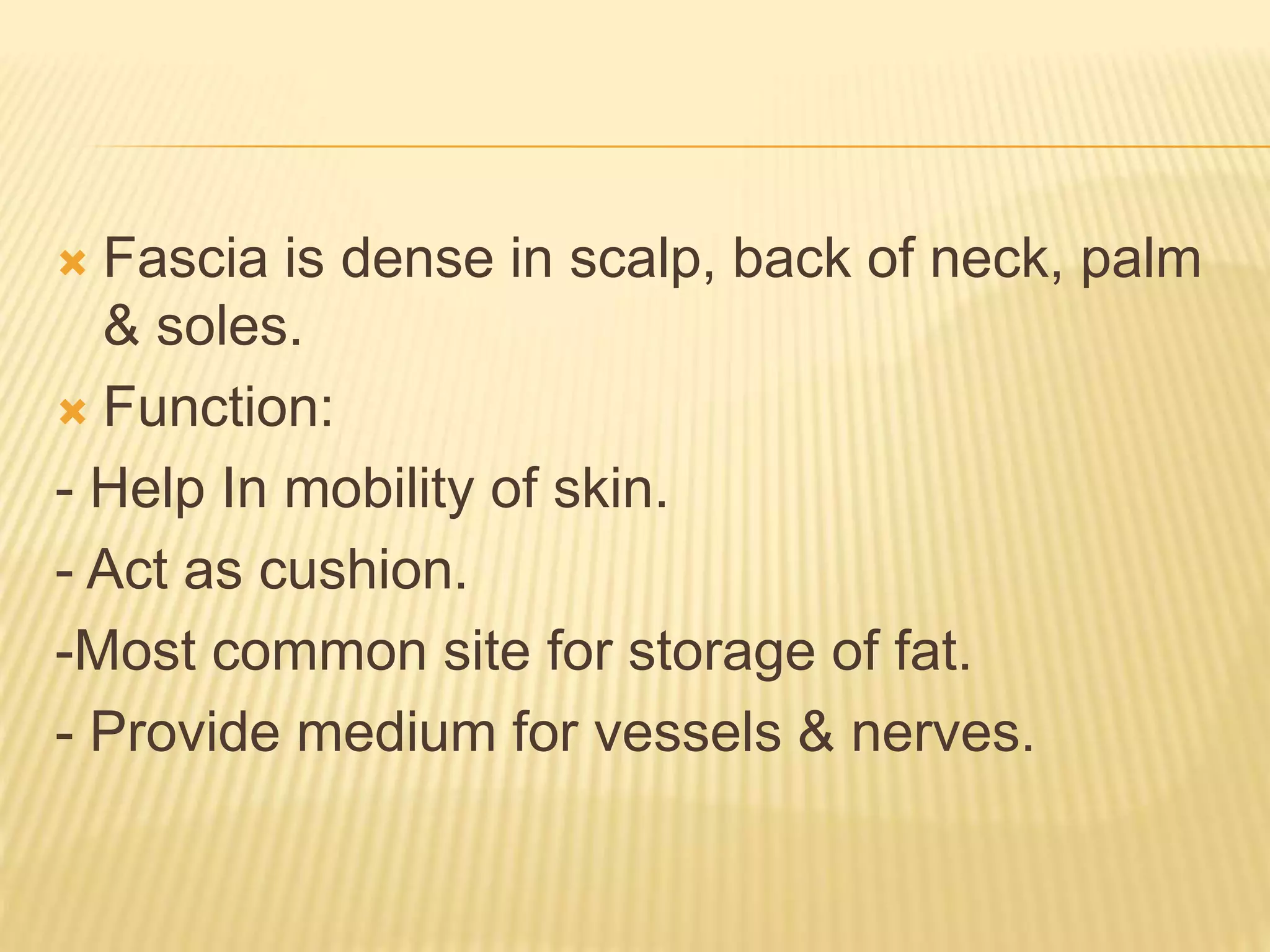 Skin anatomy and physiology | PPTX