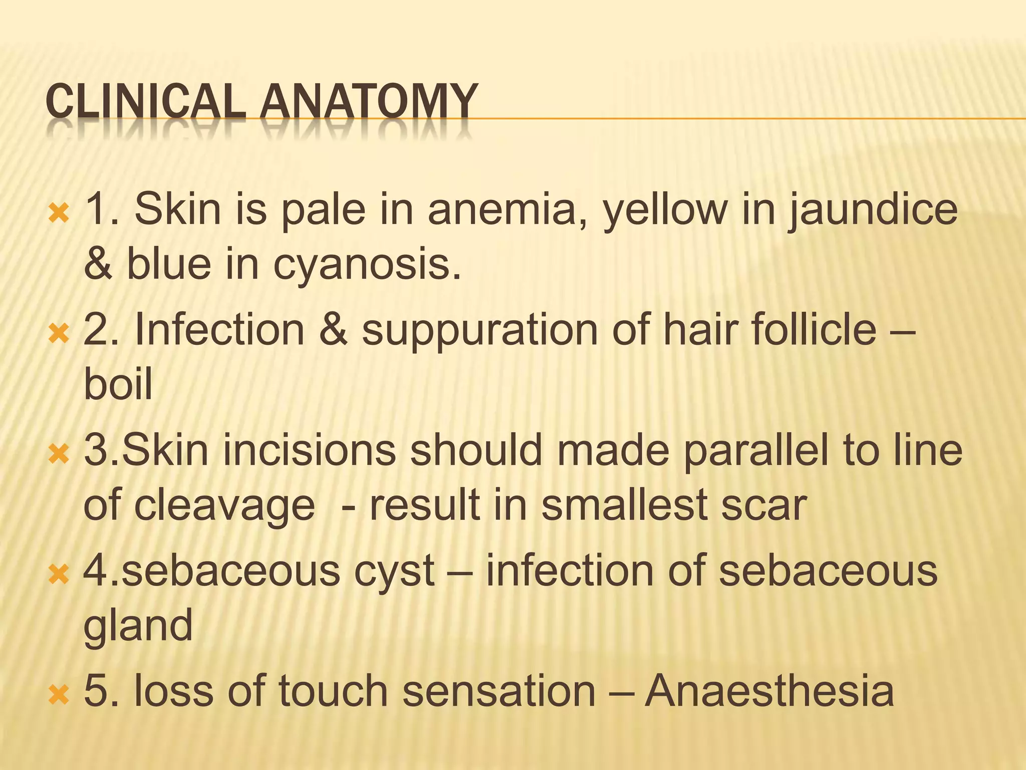 Skin anatomy and physiology | PPTX