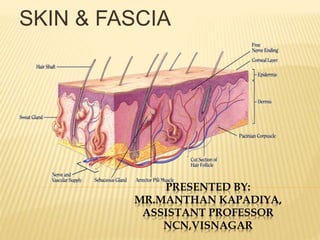 Skin anatomy and physiology | PPTX