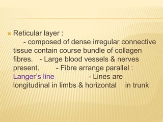 Skin anatomy and physiology | PPTX