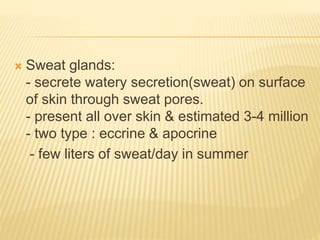 Skin anatomy and physiology | PPTX