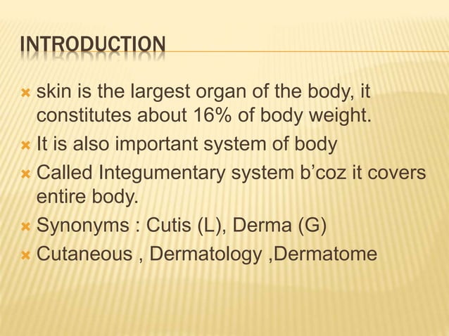 Skin anatomy and physiology | PPTX | Skin and Dermatology | Diseases and Conditions