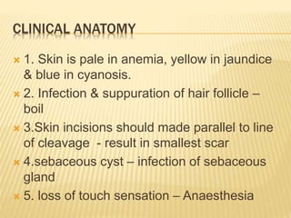 Skin anatomy and physiology | PPTX