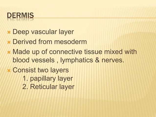 Skin anatomy and physiology | PPTX | Skin and Dermatology | Diseases ...