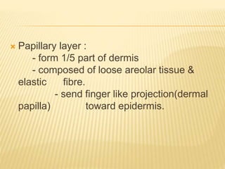 Skin anatomy and physiology | PPTX