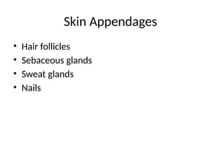 Skin_Anatomy_Histology_MBBS_50_Slides.pptx