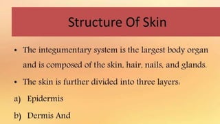 Skin anatomy & physiology | PPT