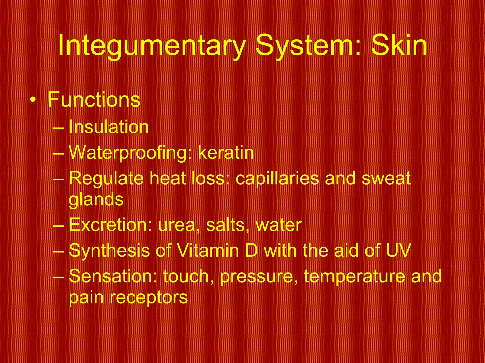 Skin and body membranes | PPT