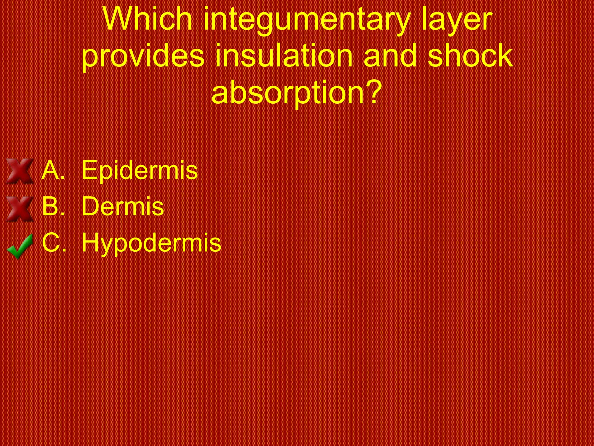 Skin and body membranes | PPT
