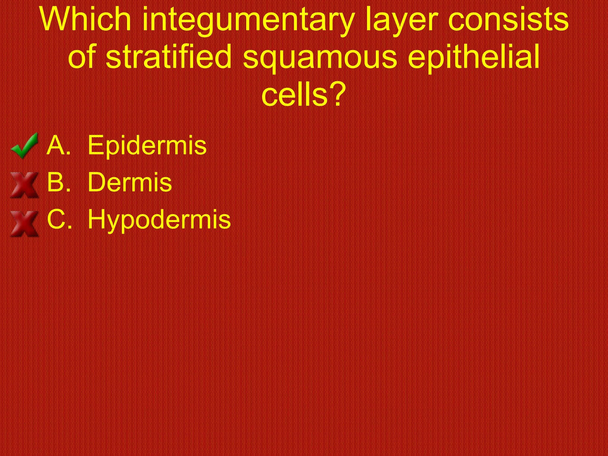 Skin and body membranes | PPT