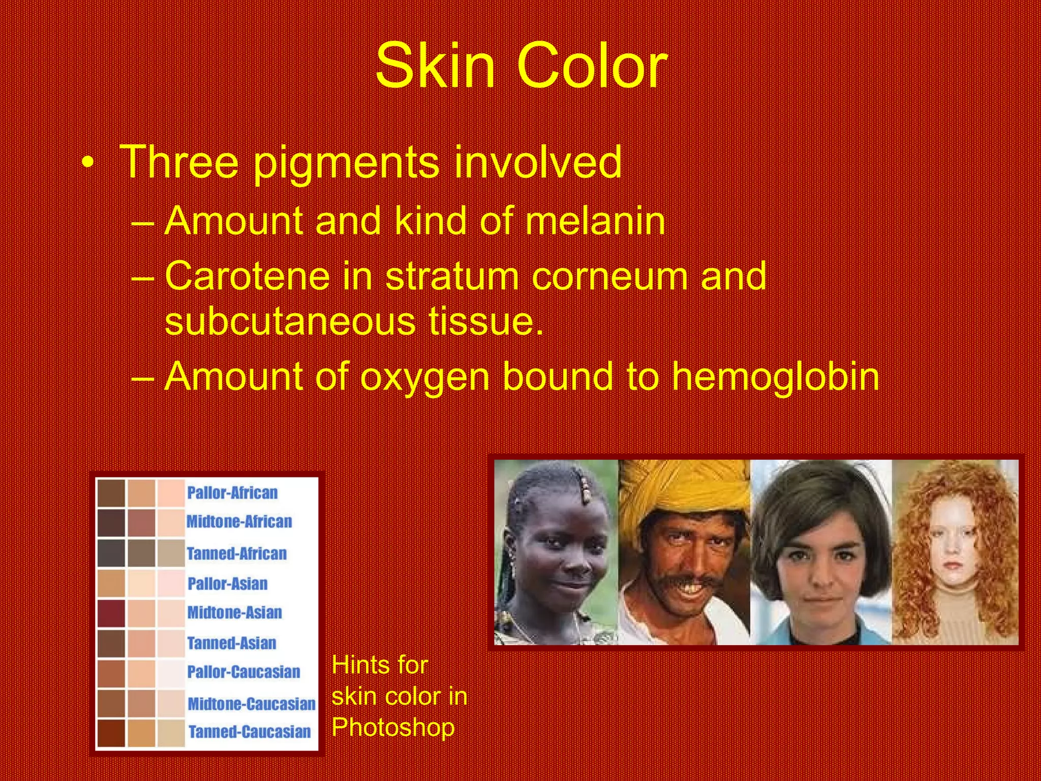 Skin and body membranes | PPT