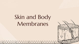 Skin and Body Membranes Anaphy and Physiology | PDF