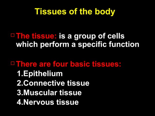 Skin and fascia | PPT