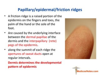 Skin and fascial medicos notes.com