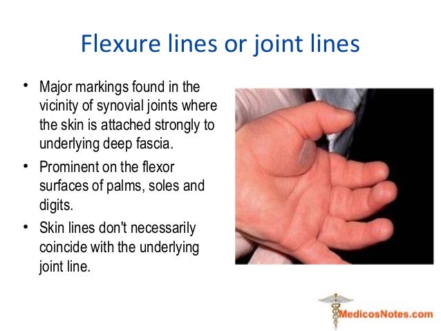 Skin and fascial medicos notes.com