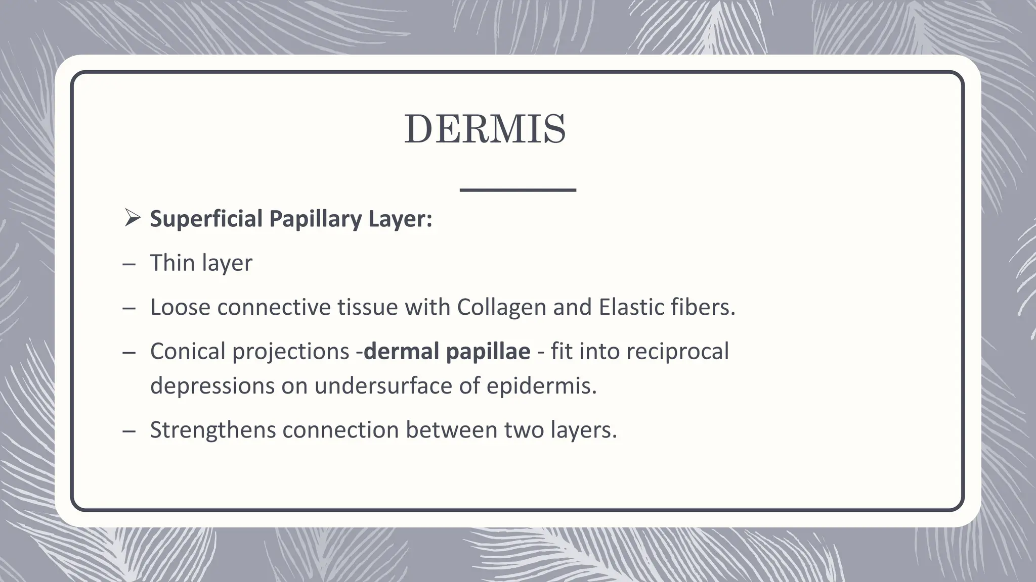 Layers and Appendages of Skin. Superficial and deep Fascia PPT.pptx