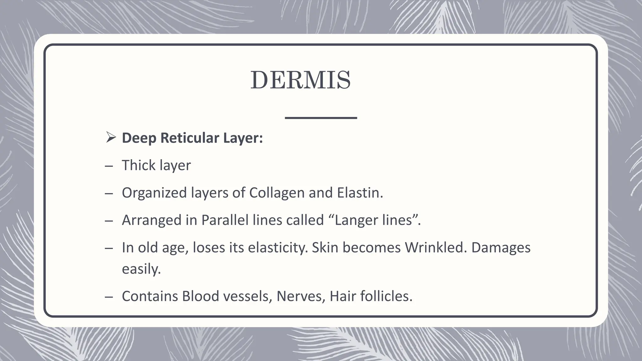 Layers and Appendages of Skin. Superficial and deep Fascia PPT.pptx