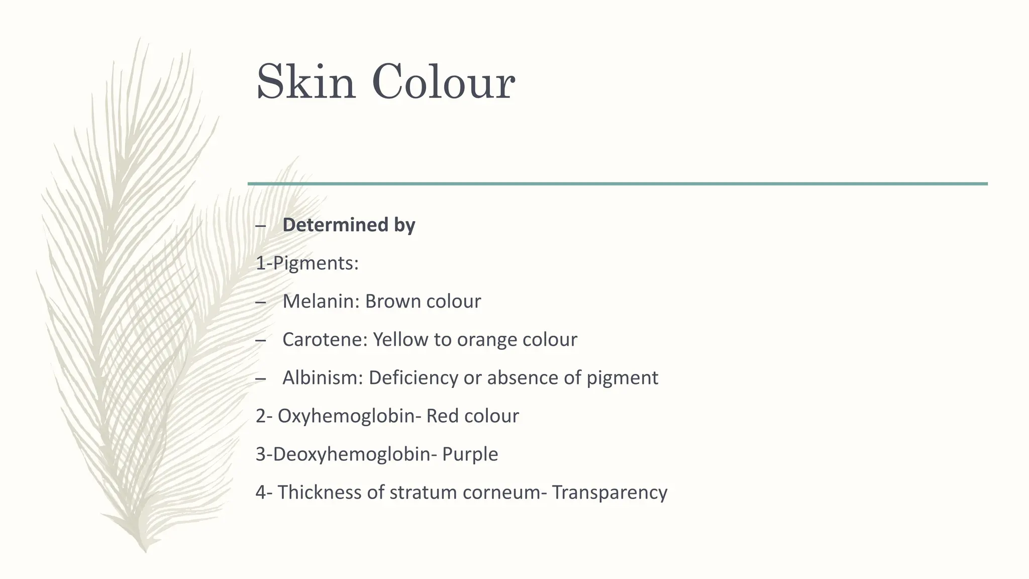 Layers and Appendages of Skin. Superficial and deep Fascia PPT.pptx