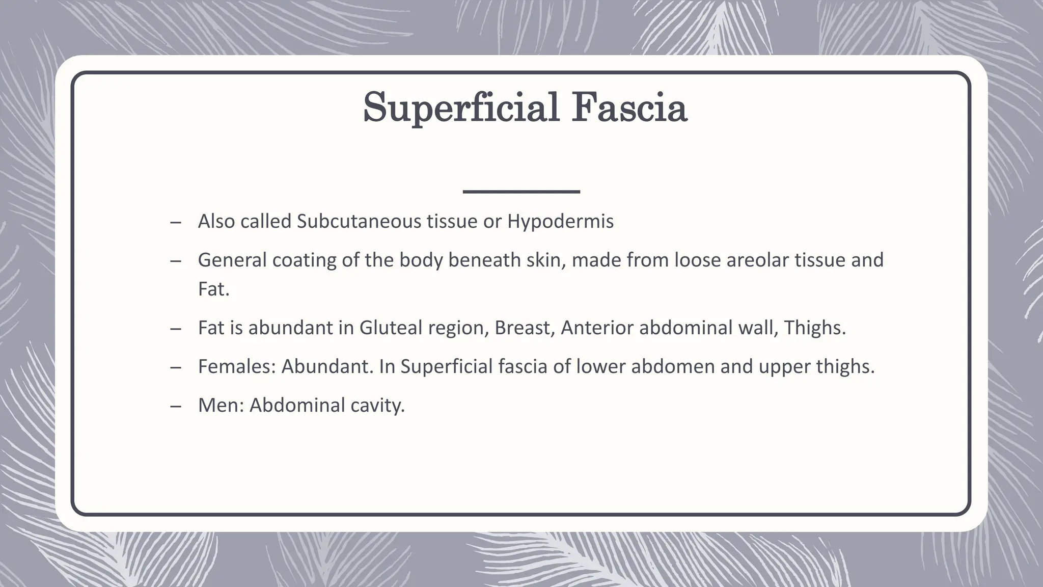 Layers and Appendages of Skin. Superficial and deep Fascia PPT.pptx