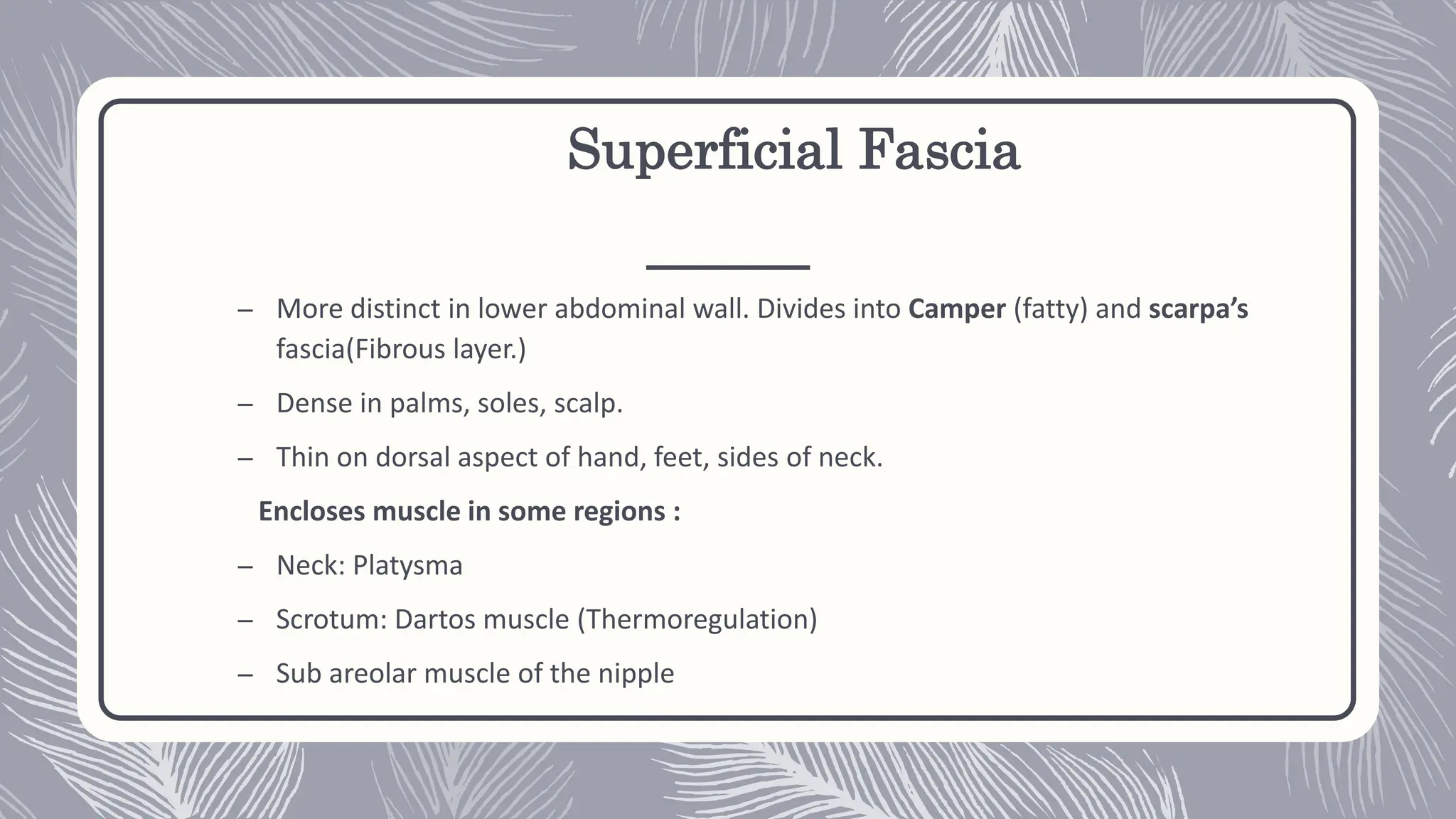 Layers and Appendages of Skin. Superficial and deep Fascia PPT.pptx